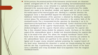 Surgical anatomy and oncological discussion of the neck | PPTX