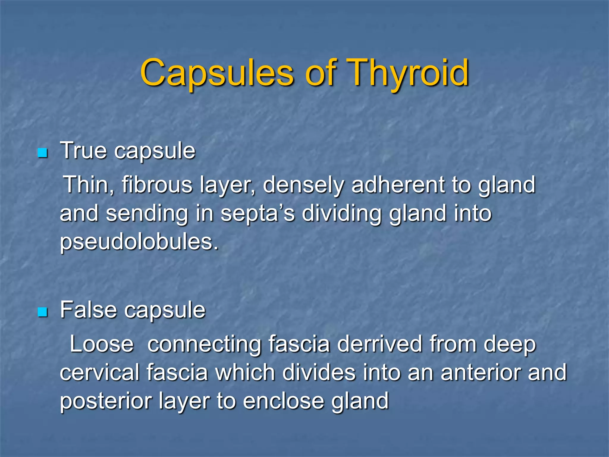 Surgical anatomy of thyroid gland | PPT
