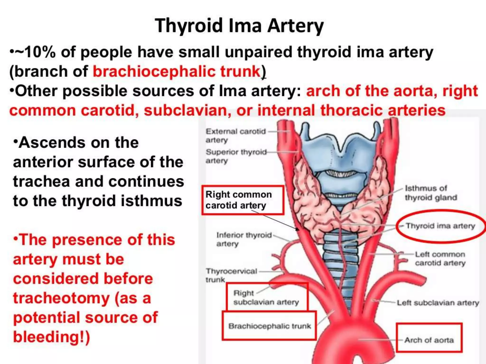 Surgical anatomy of thyroid gland | PPT