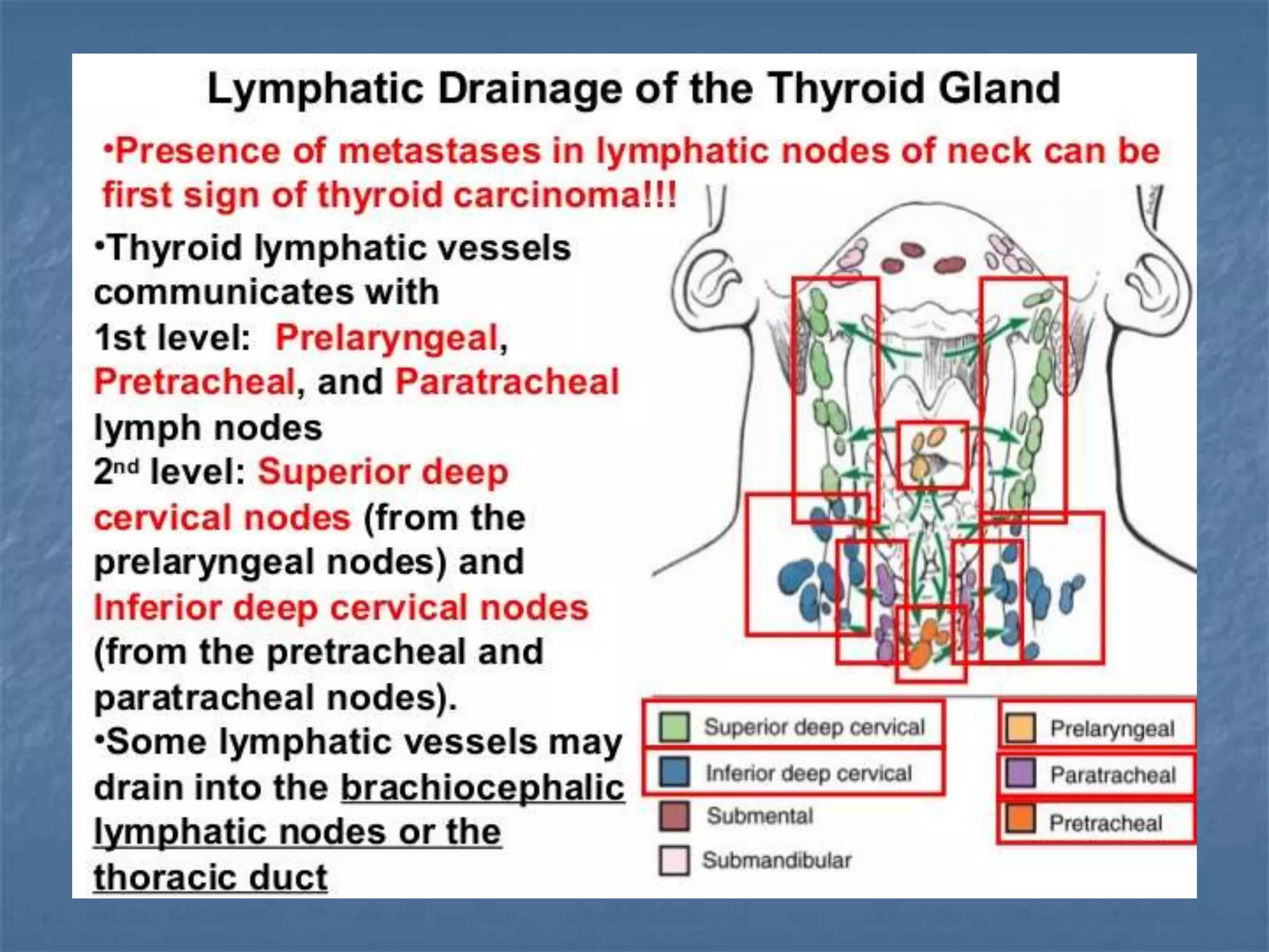 Surgical anatomy of thyroid gland | PPT