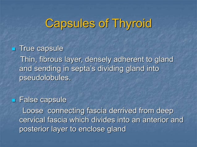 Surgical anatomy of thyroid gland | PPT