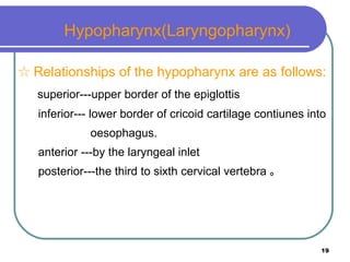 Surgical anatomy and physiology of pharynx(中山医) | PPT