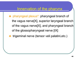 Surgical anatomy and physiology of pharynx(中山医) | PPT