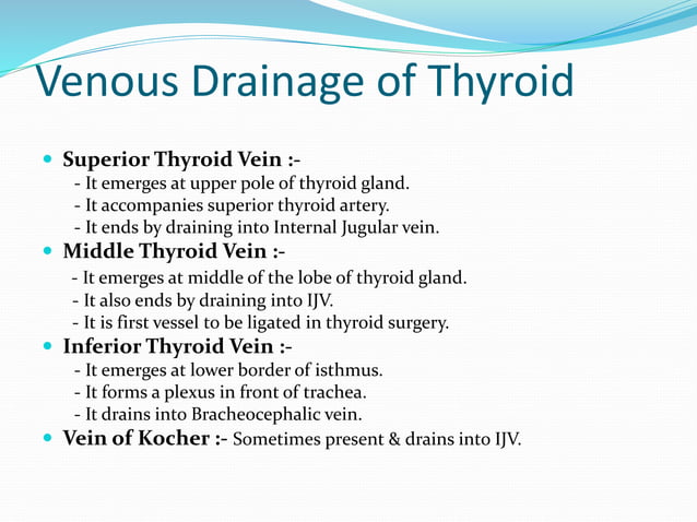 Surgical anatomy and physiology of thyroid and parathyroid | PPTX ...