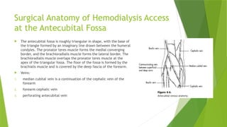 Surgical Anatomy for Hemodialysis Access.pptx