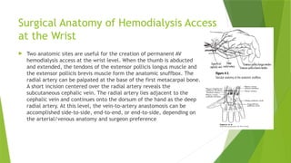 Surgical Anatomy for Hemodialysis Access.pptx
