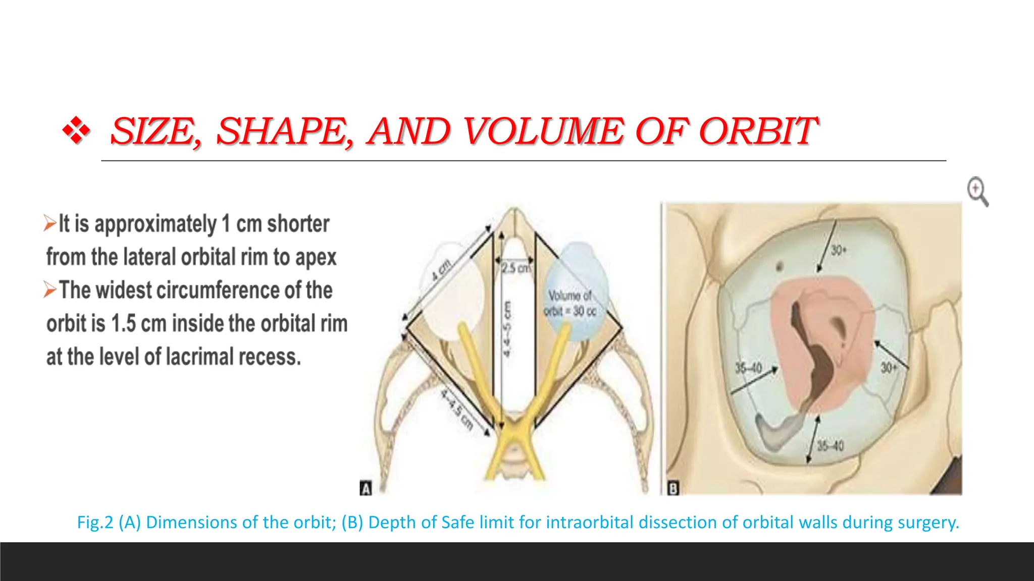 Surgical Anatomy For Orbital Procedures .pptx