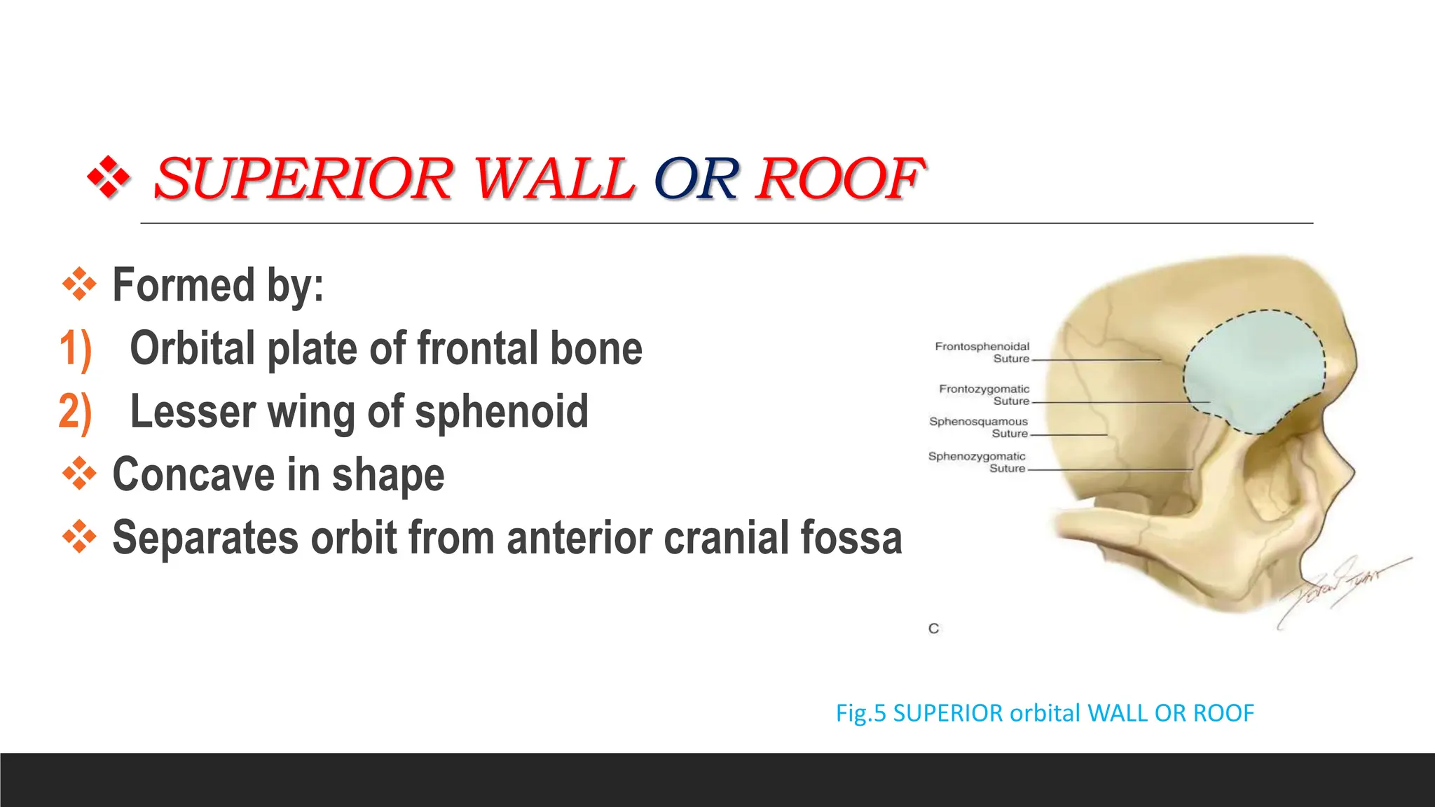Surgical Anatomy For Orbital Procedures .pptx