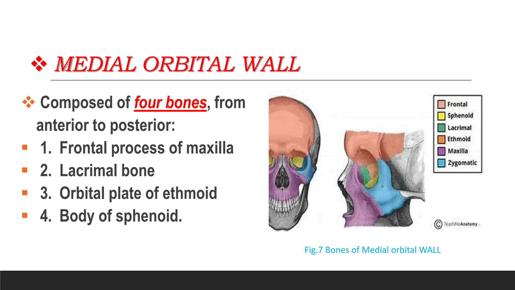 Surgical Anatomy For Orbital Procedures .pptx