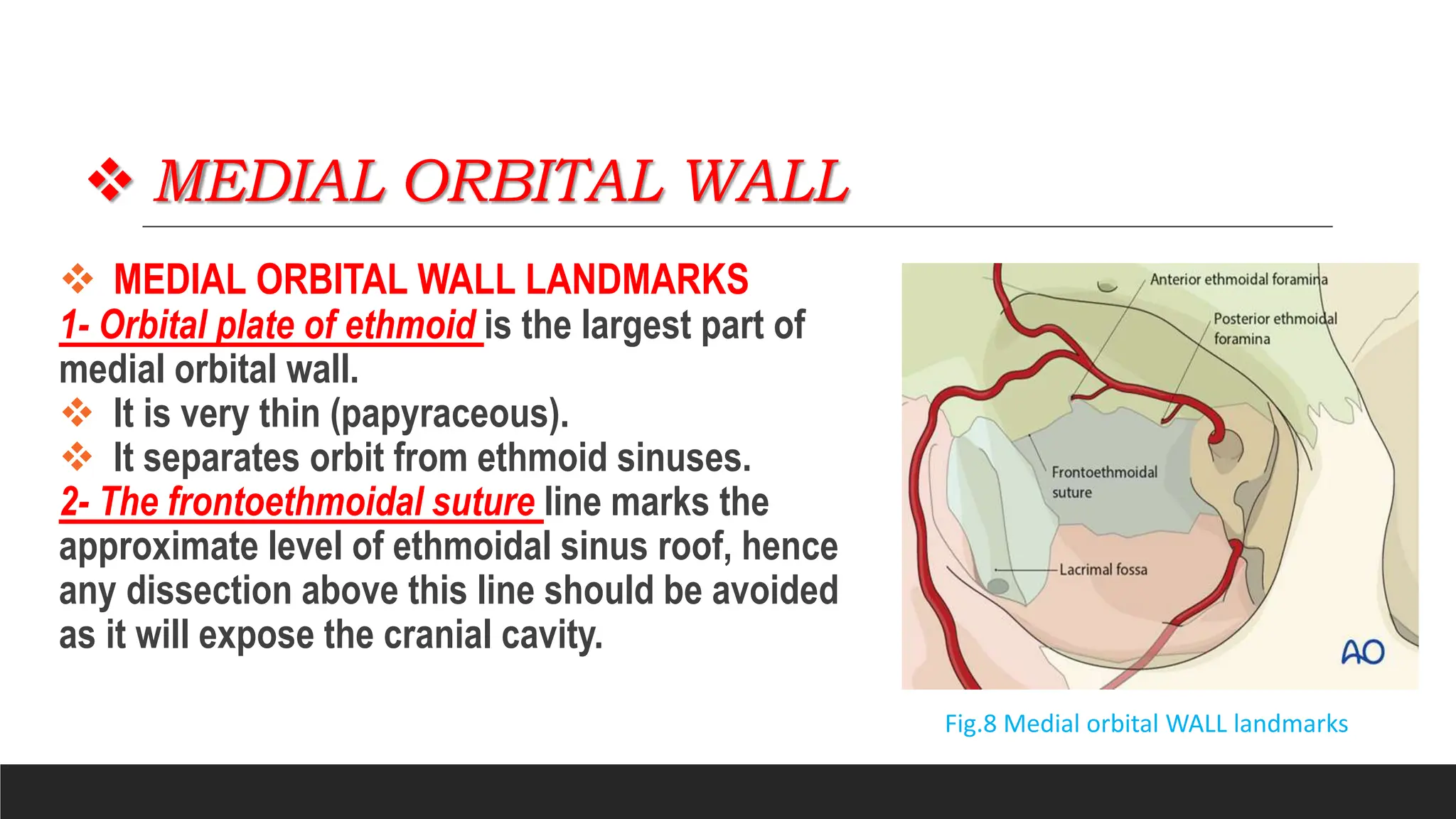 Surgical Anatomy For Orbital Procedures .pptx