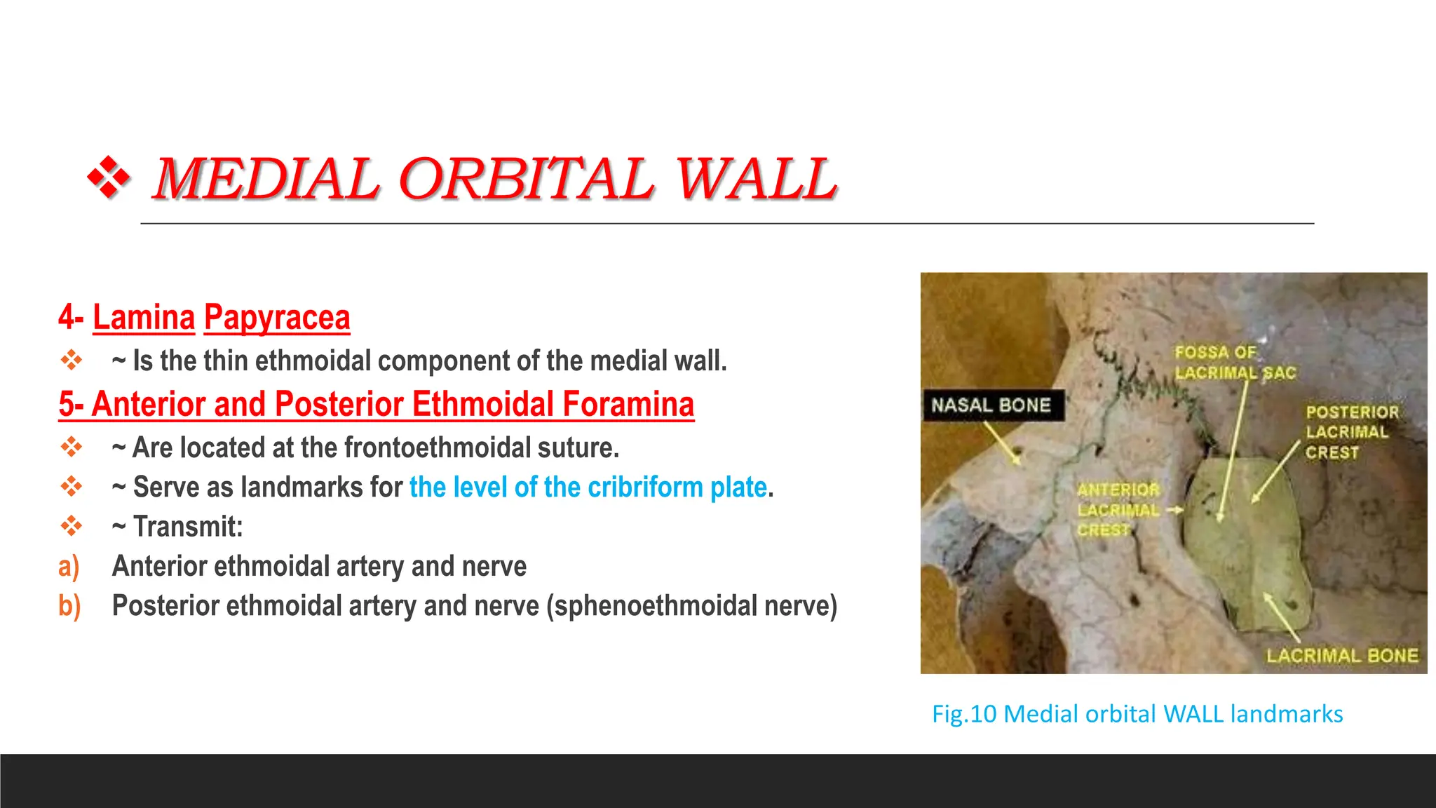 Surgical Anatomy For Orbital Procedures .pptx