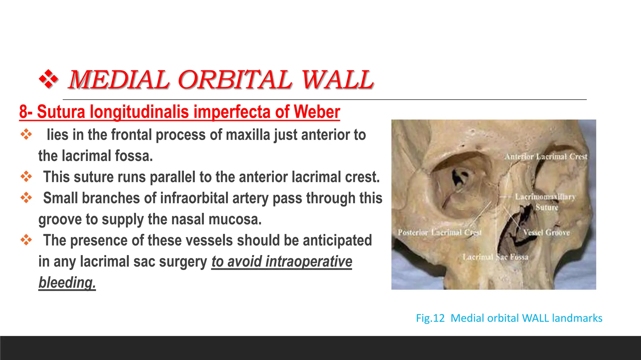 Surgical Anatomy For Orbital Procedures .pptx