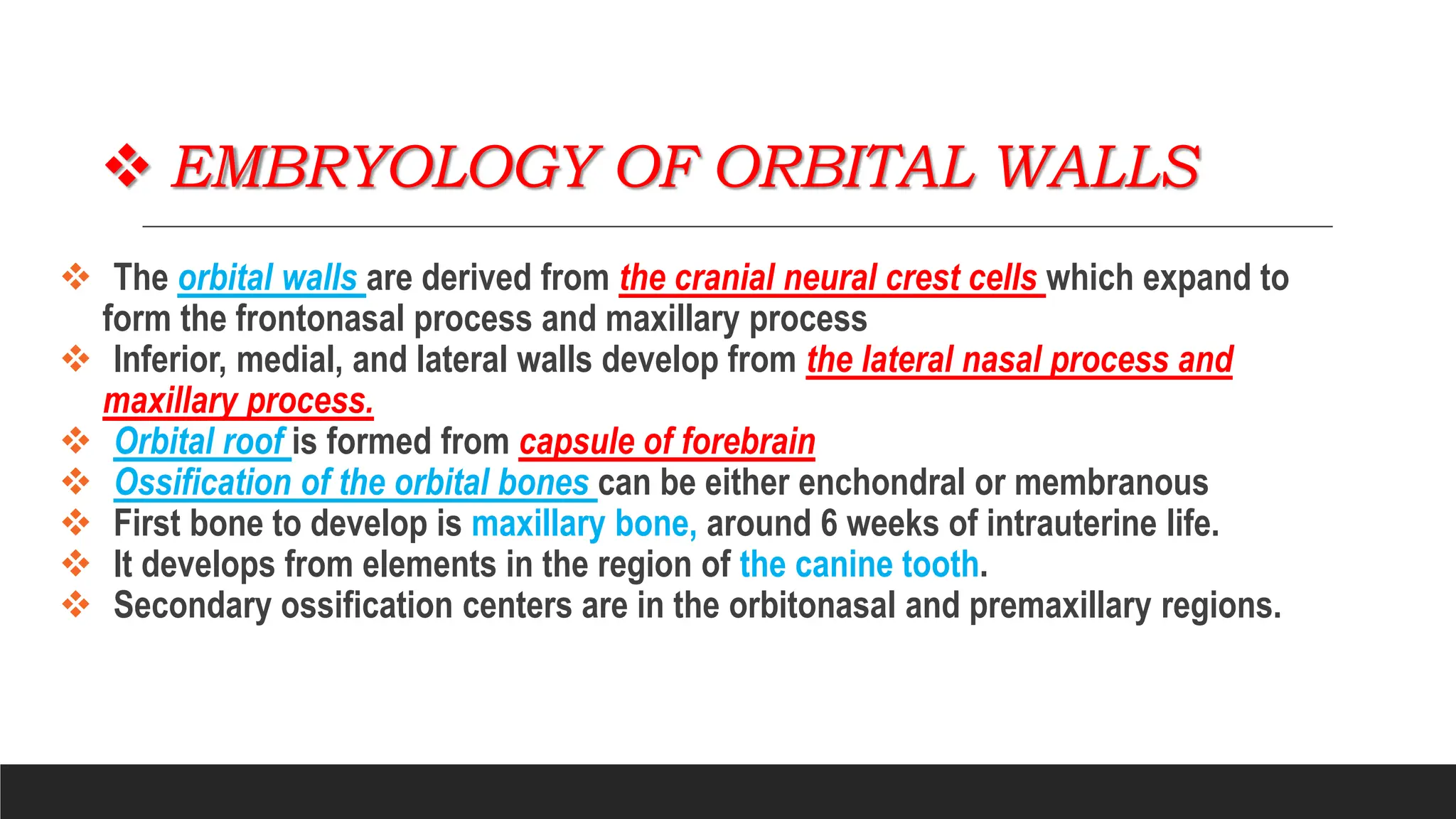 Surgical Anatomy For Orbital Procedures .pptx