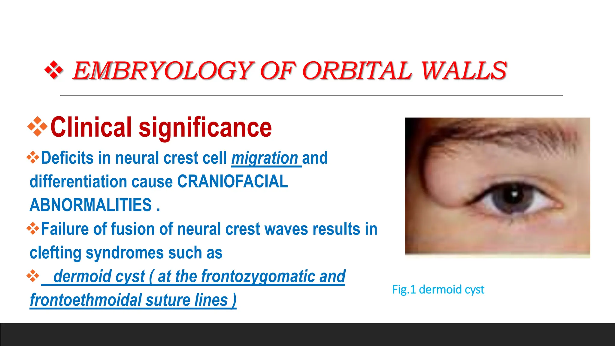 Surgical Anatomy For Orbital Procedures .pptx
