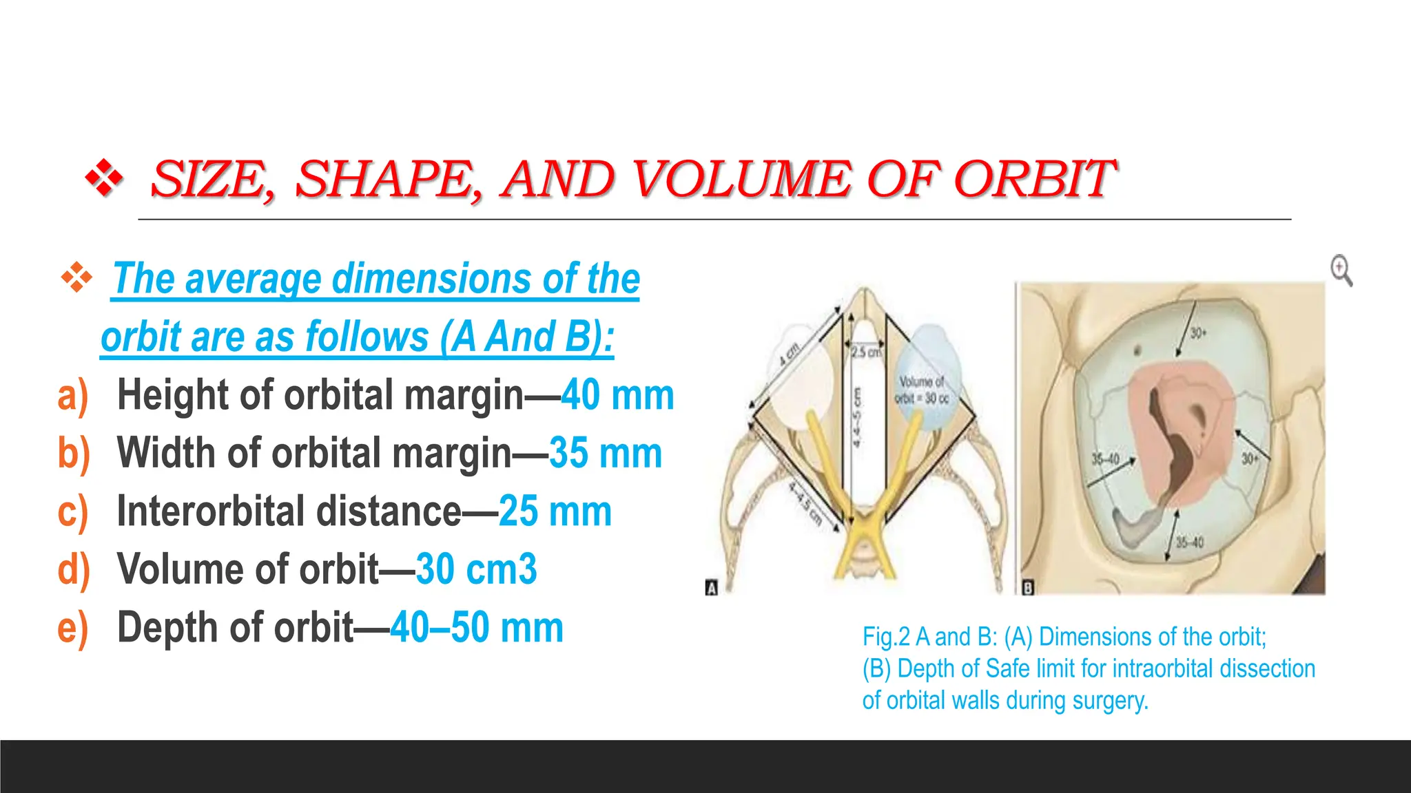 Surgical Anatomy For Orbital Procedures .pptx