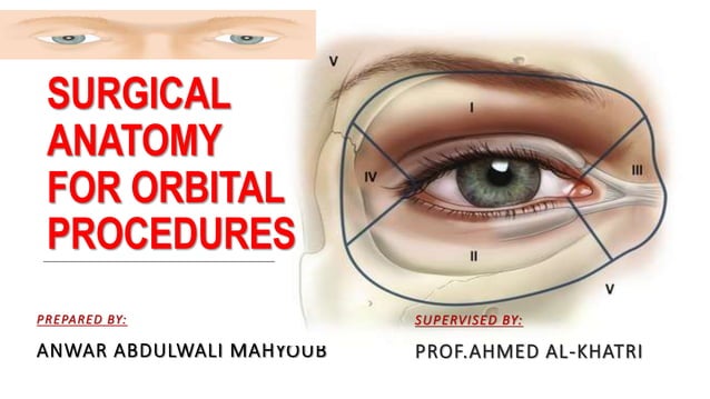 Surgical Anatomy For Orbital Procedures .pptx