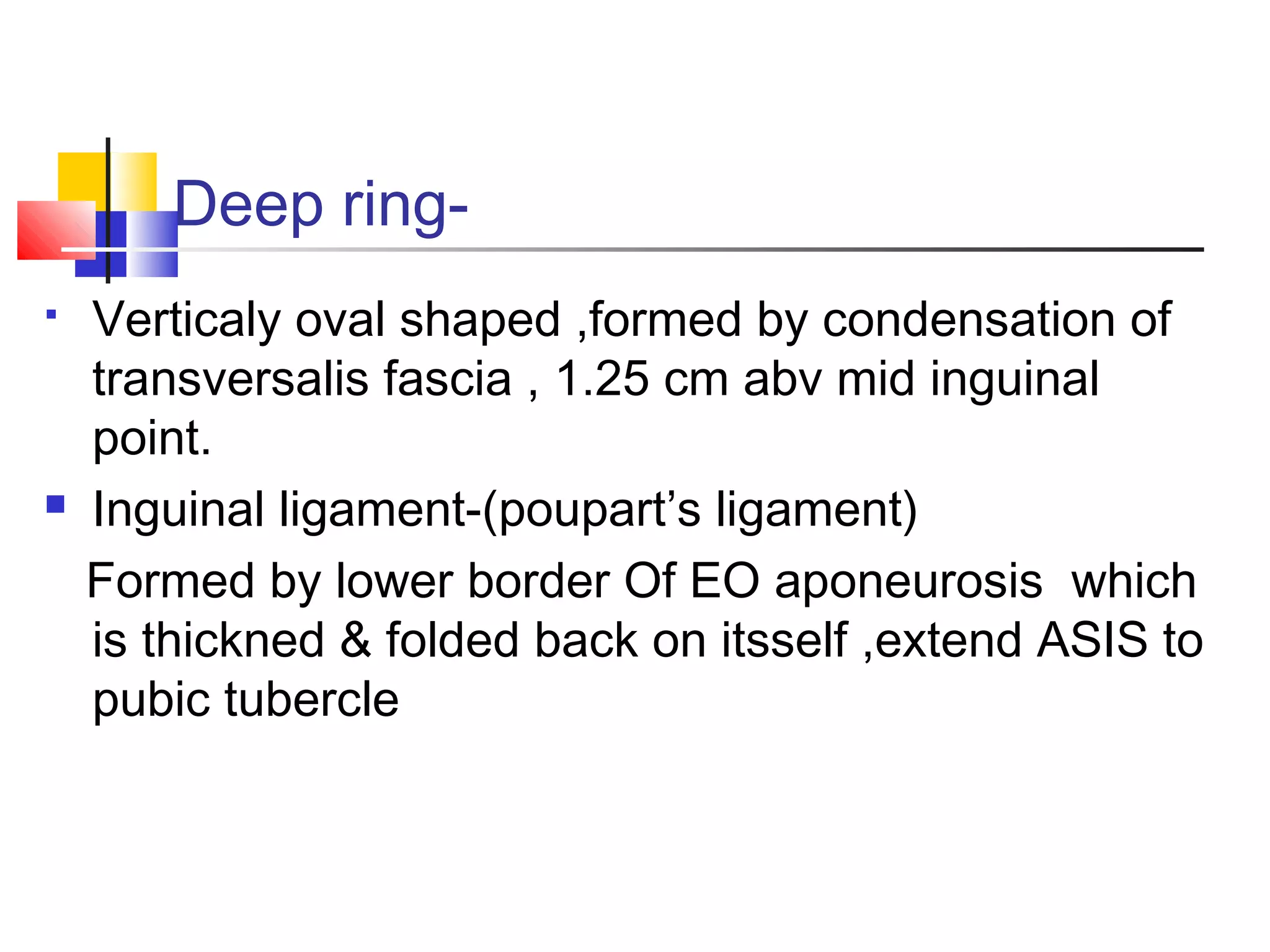 Surgical anatomy inguinal canal dr mnr | PPT