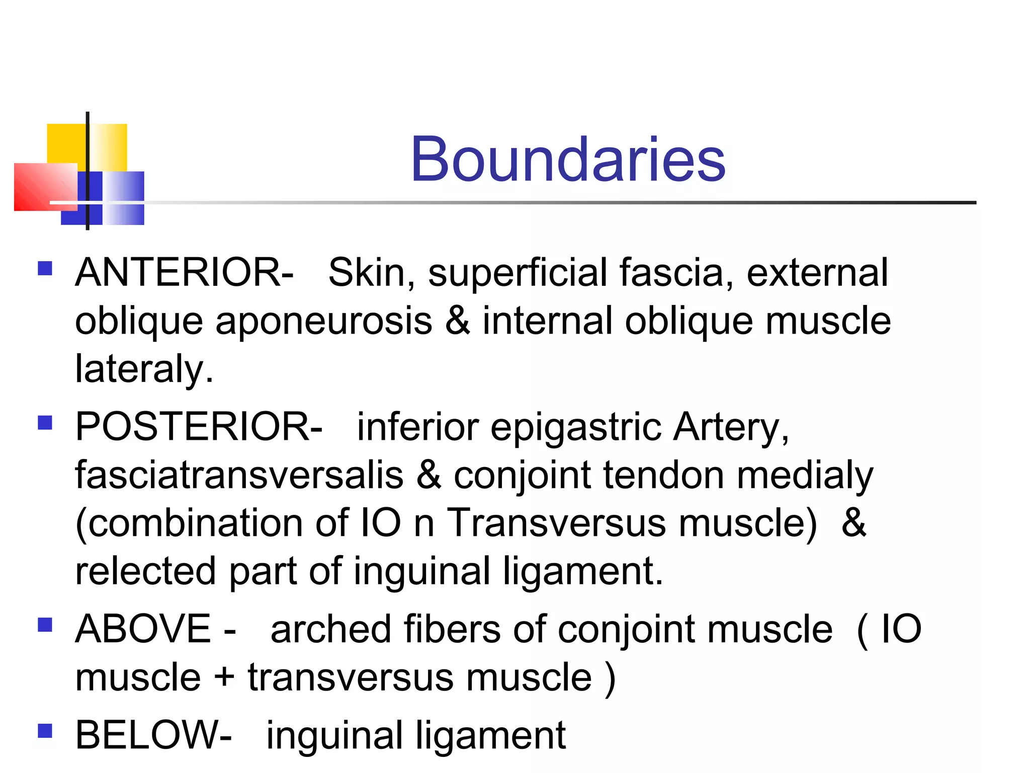 Surgical anatomy inguinal canal dr mnr | PPT