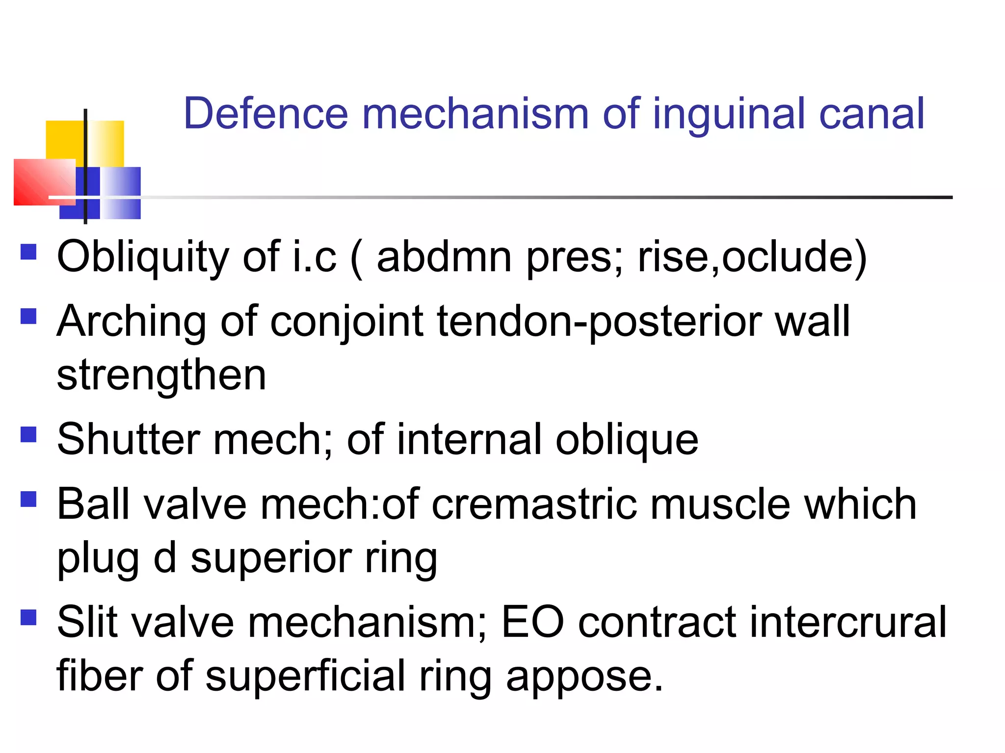 Surgical anatomy inguinal canal dr mnr | PPT