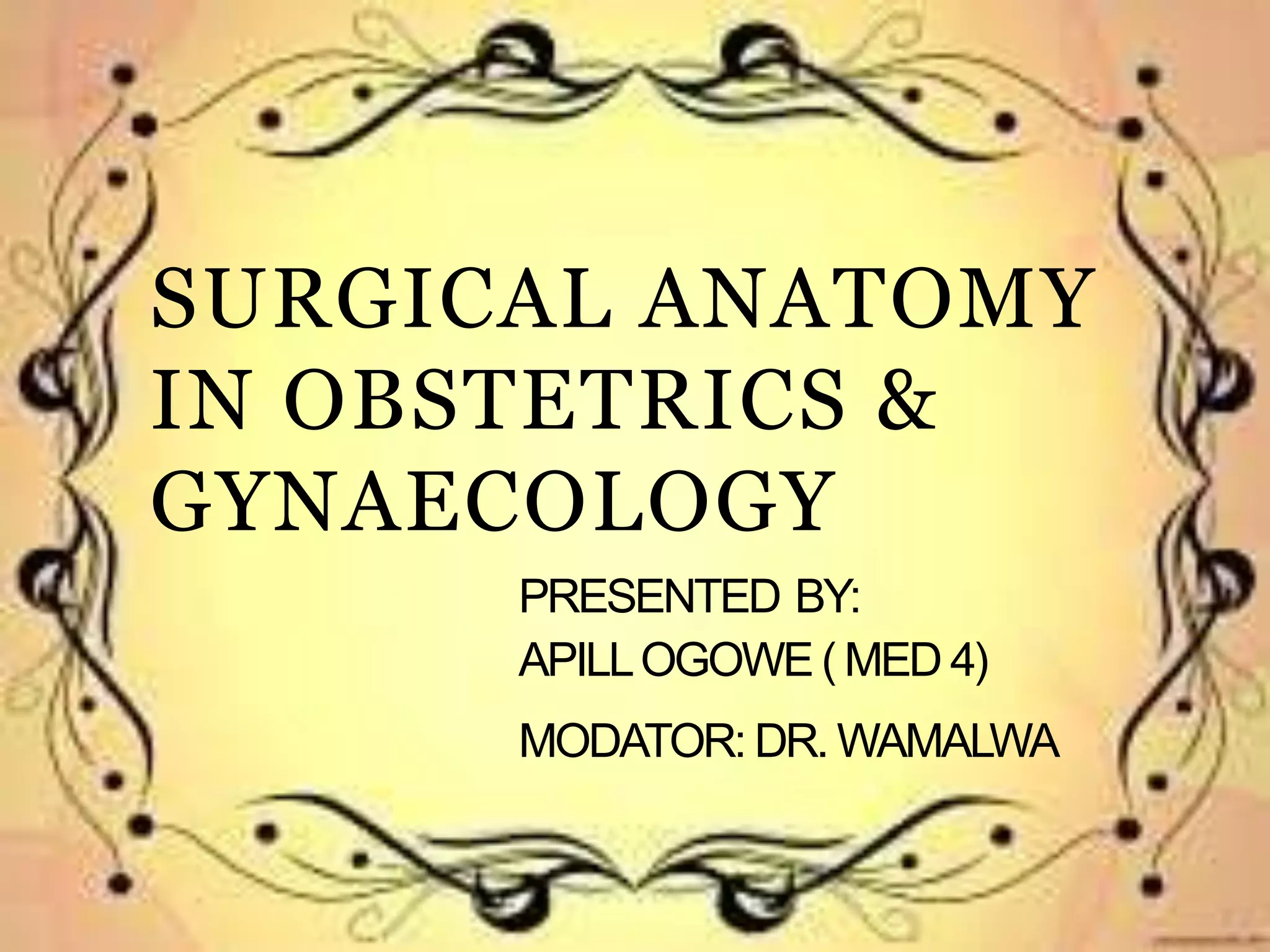 Surgical anatomy in obs & gyn | PPTX