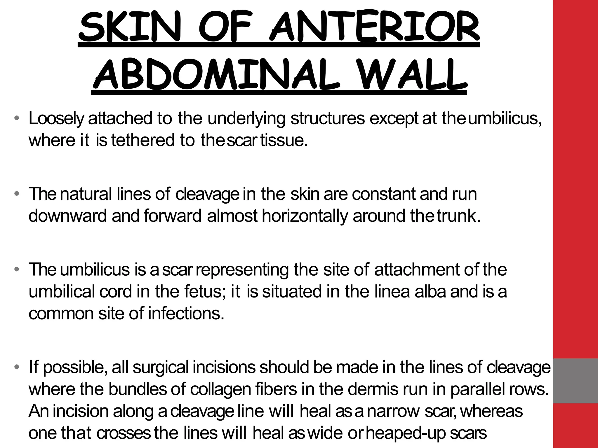 Surgical anatomy in obs & gyn | PPTX