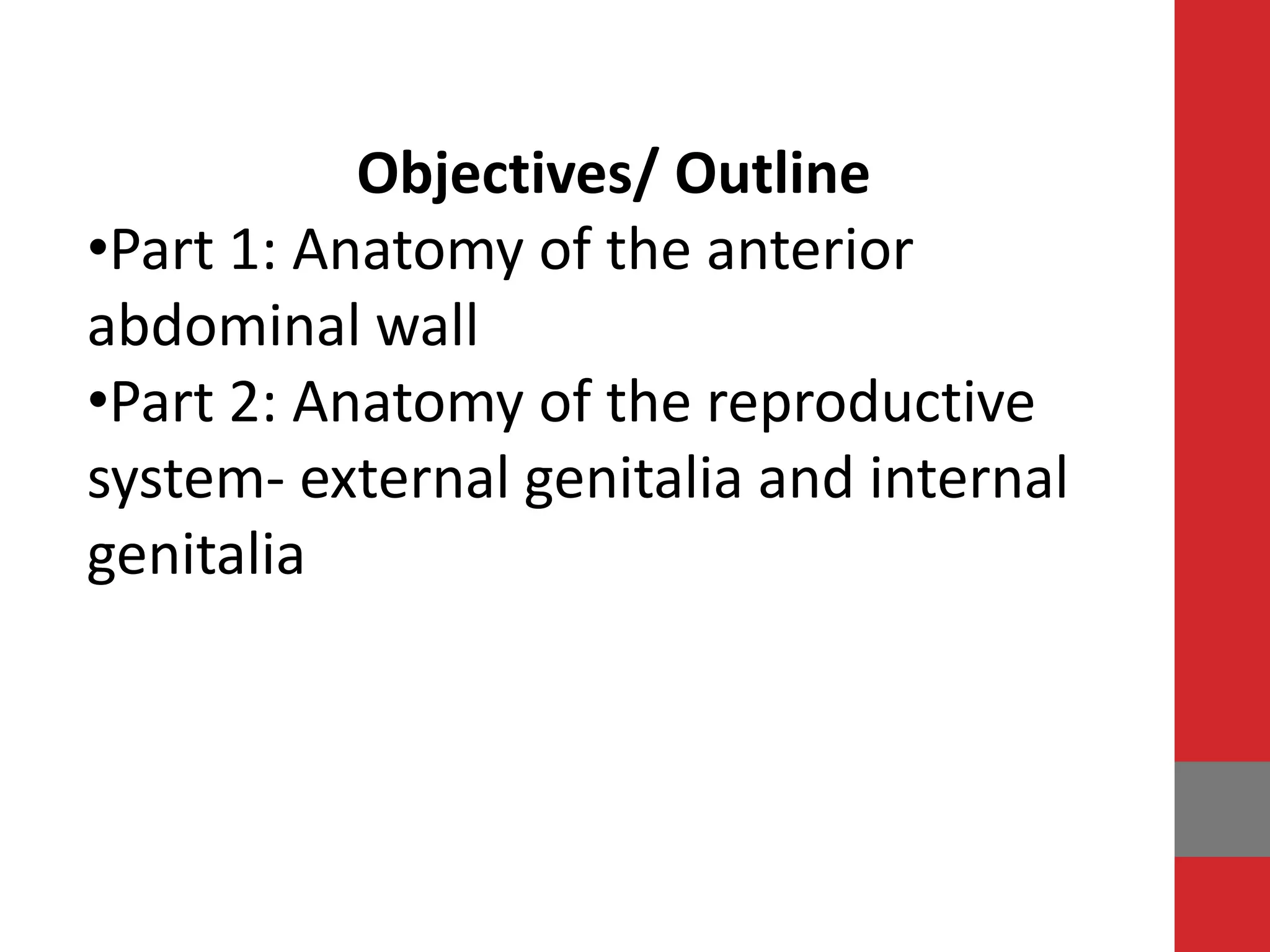 Surgical anatomy in obs & gyn | PPTX