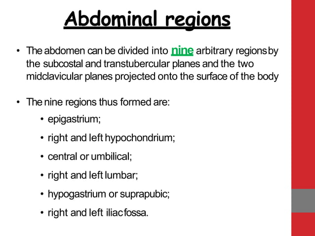 Surgical anatomy in obs & gyn | PPTX | Pregnancy | Reproductive Health