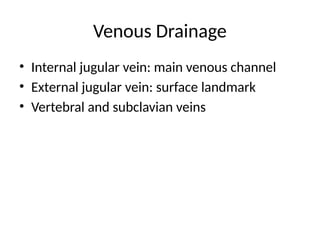 Surgical_Anatomy_Neck_Full.pptx........... | PPTX