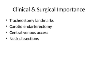 Surgical_Anatomy_Neck_Full.pptx........... | PPTX