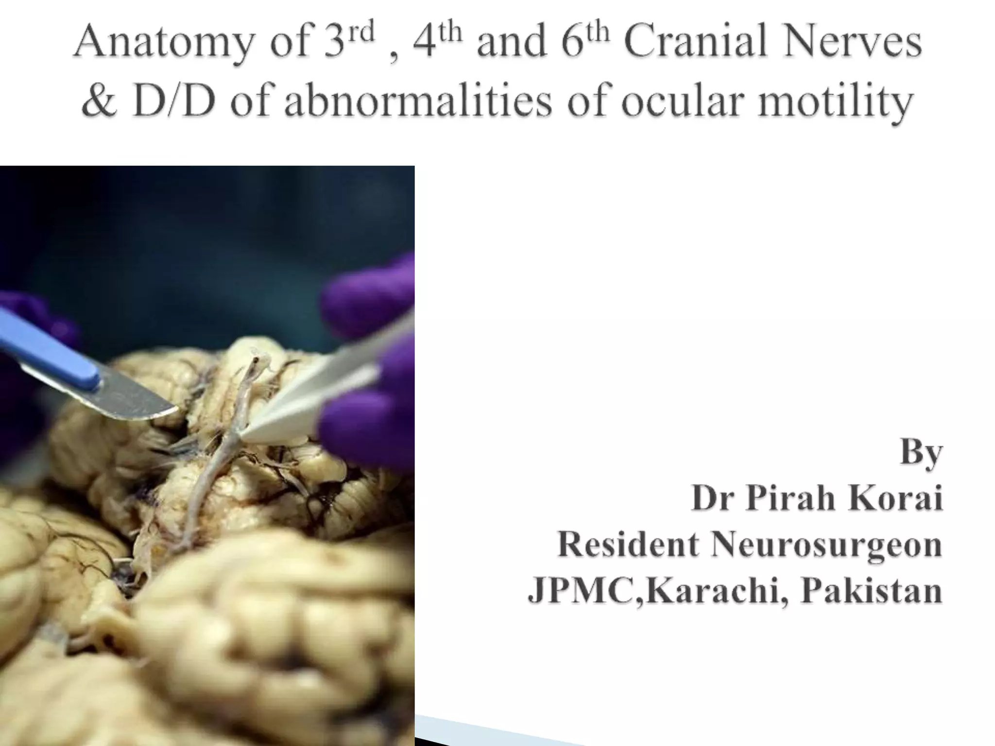 Surgical anatomy of 3rd , 4th and 6th cranial nerves | PPTX