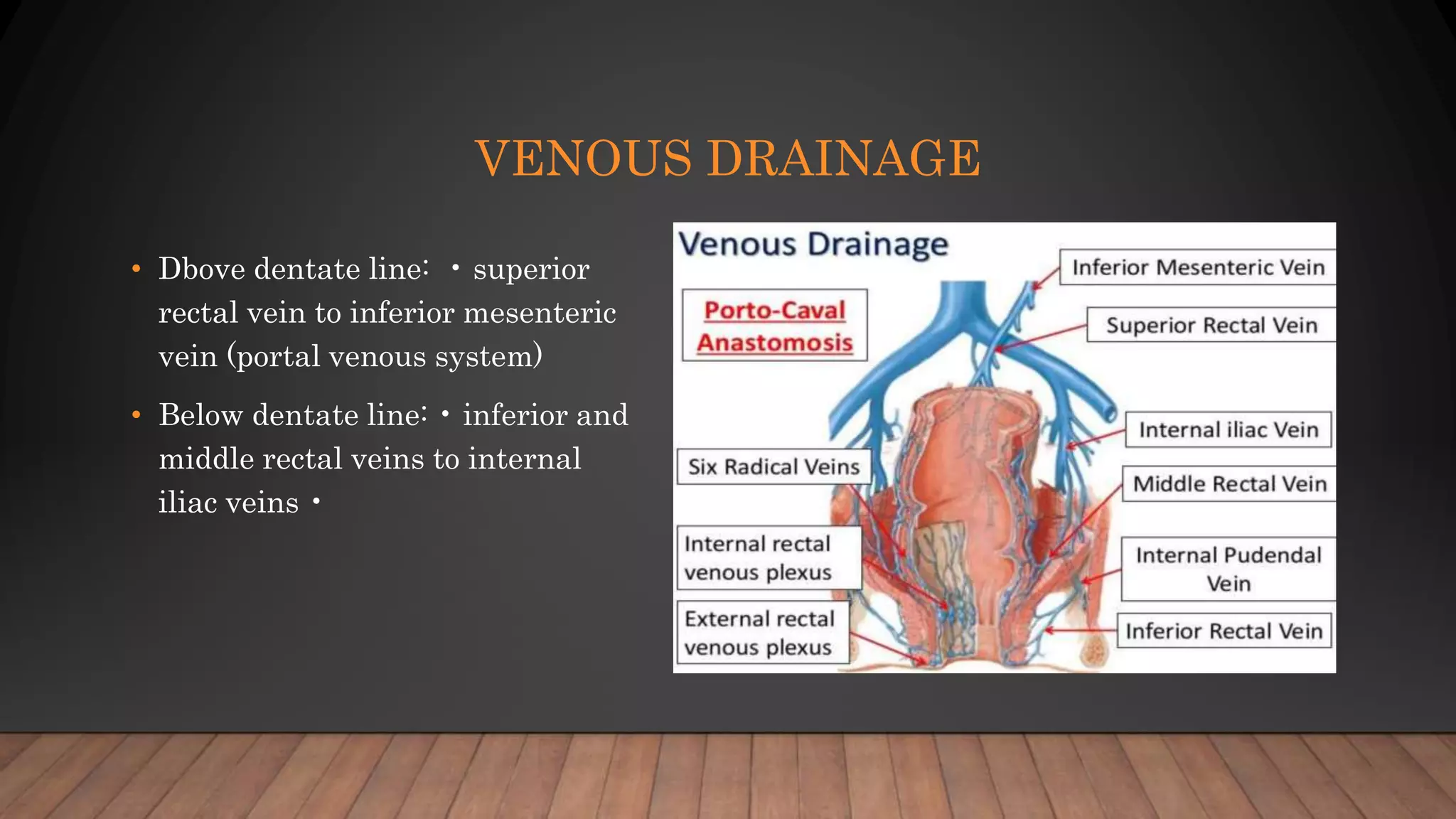 SURGICAL ANATOMY OF ANAL CANAL.pptx