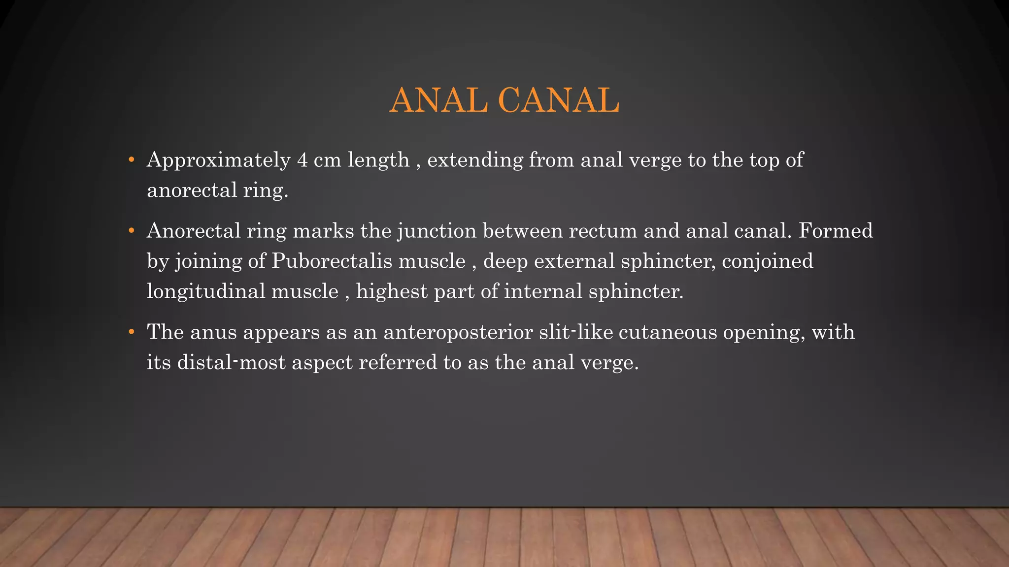 SURGICAL ANATOMY OF ANAL CANAL.pptx