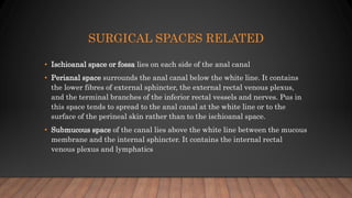 SURGICAL ANATOMY OF ANAL CANAL.pptx