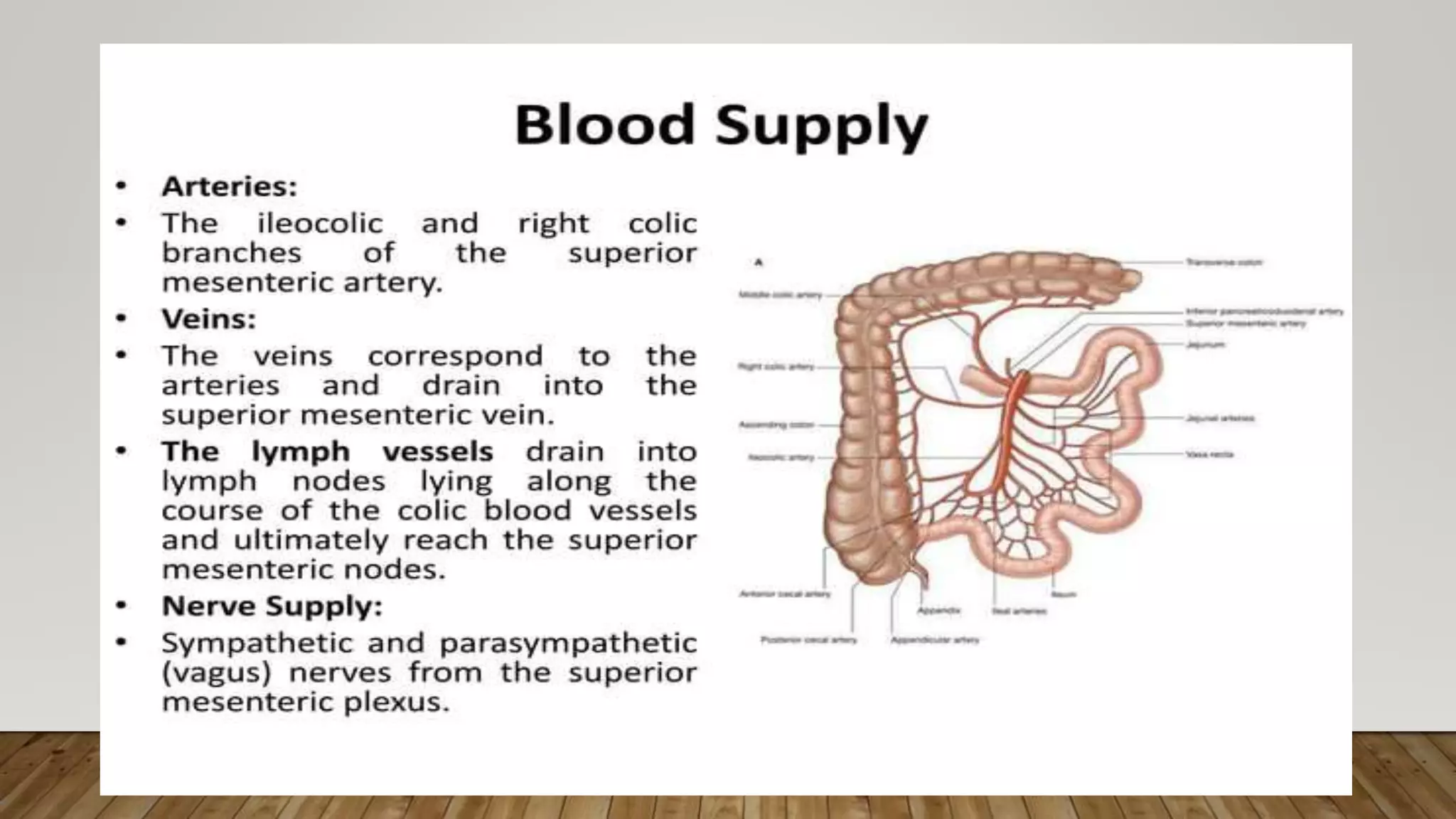 surgical anatomy of large bowel and appendix.pptx
