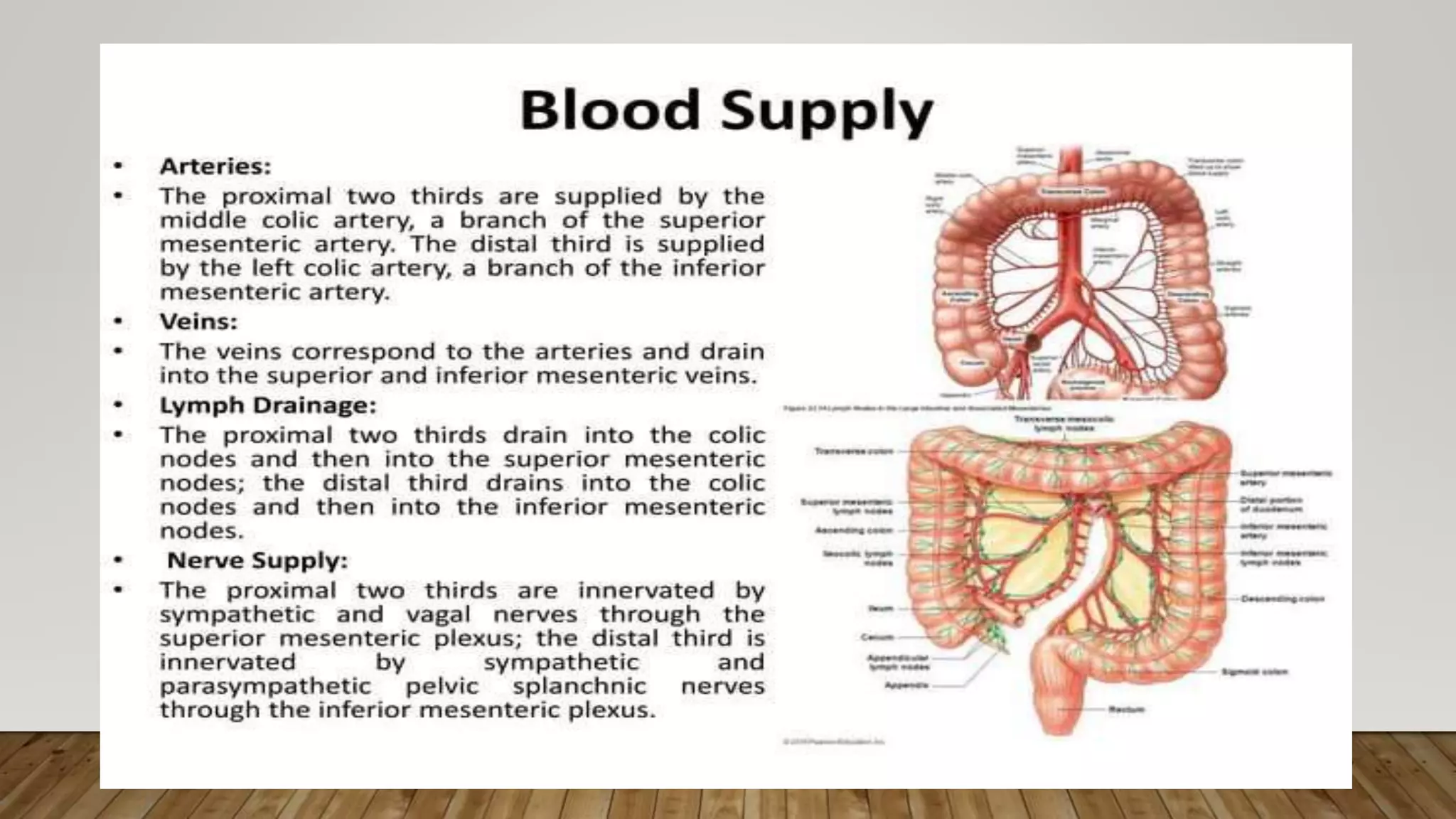 surgical anatomy of large bowel and appendix.pptx