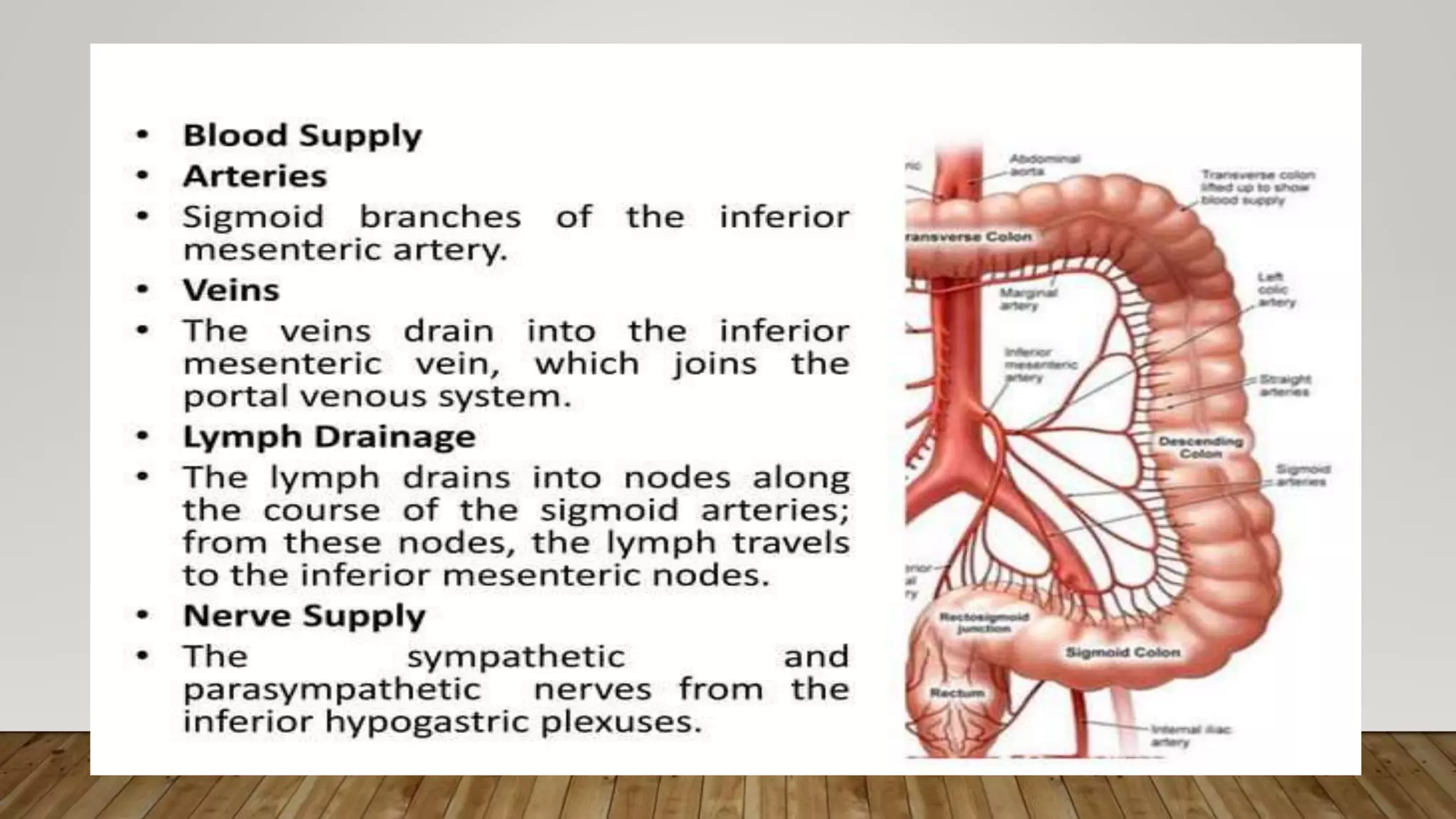 surgical anatomy of large bowel and appendix.pptx