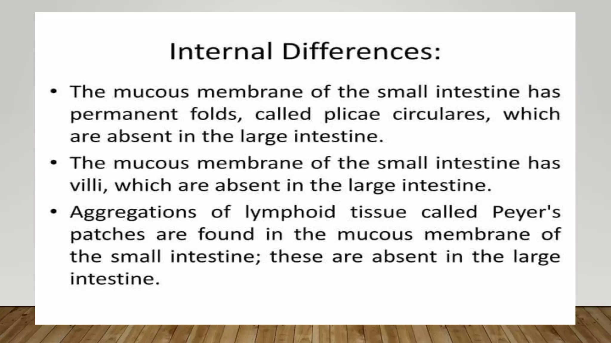 surgical anatomy of large bowel and appendix.pptx