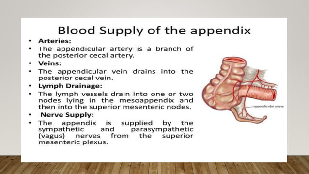 surgical anatomy of large bowel and appendix.pptx