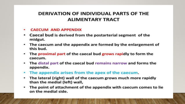 surgical anatomy of large bowel and appendix.pptx