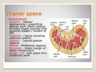 Anatomy of brachial plexus | PPTX