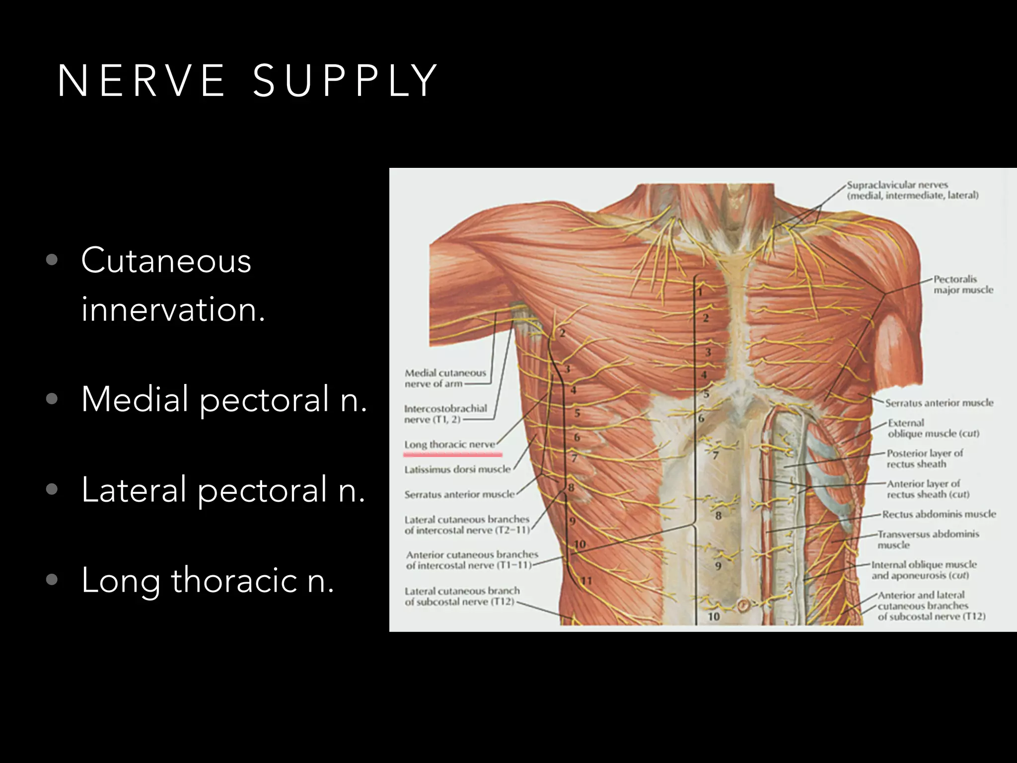 Surgical anatomy of breasts | PDF
