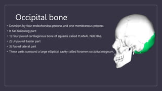 Surgical anatomy of cranial bones.pptx