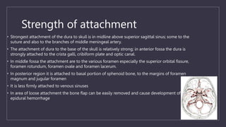 Surgical anatomy of cranial bones.pptx