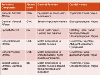 Surgical anatomy of cranial nerves pallav | PPTX