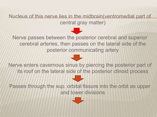 Surgical anatomy of cranial nerves pallav | PPTX