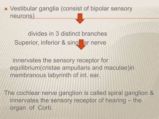 Surgical anatomy of cranial nerves pallav | PPTX