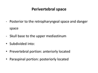 Surgical anatomy of deep neck spaces | PPTX