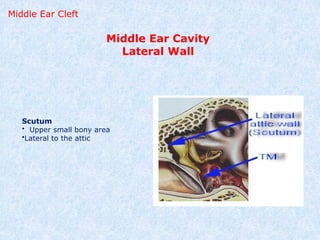 Surgical Anatomy of Ear.pptxxxxxxxxxxxx imp | PPTX