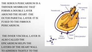 SURGICAL ANATOMY OF HEART-CHAMBER/VALVE/CORONARY/CONDUCTION SYSTEM.pptx