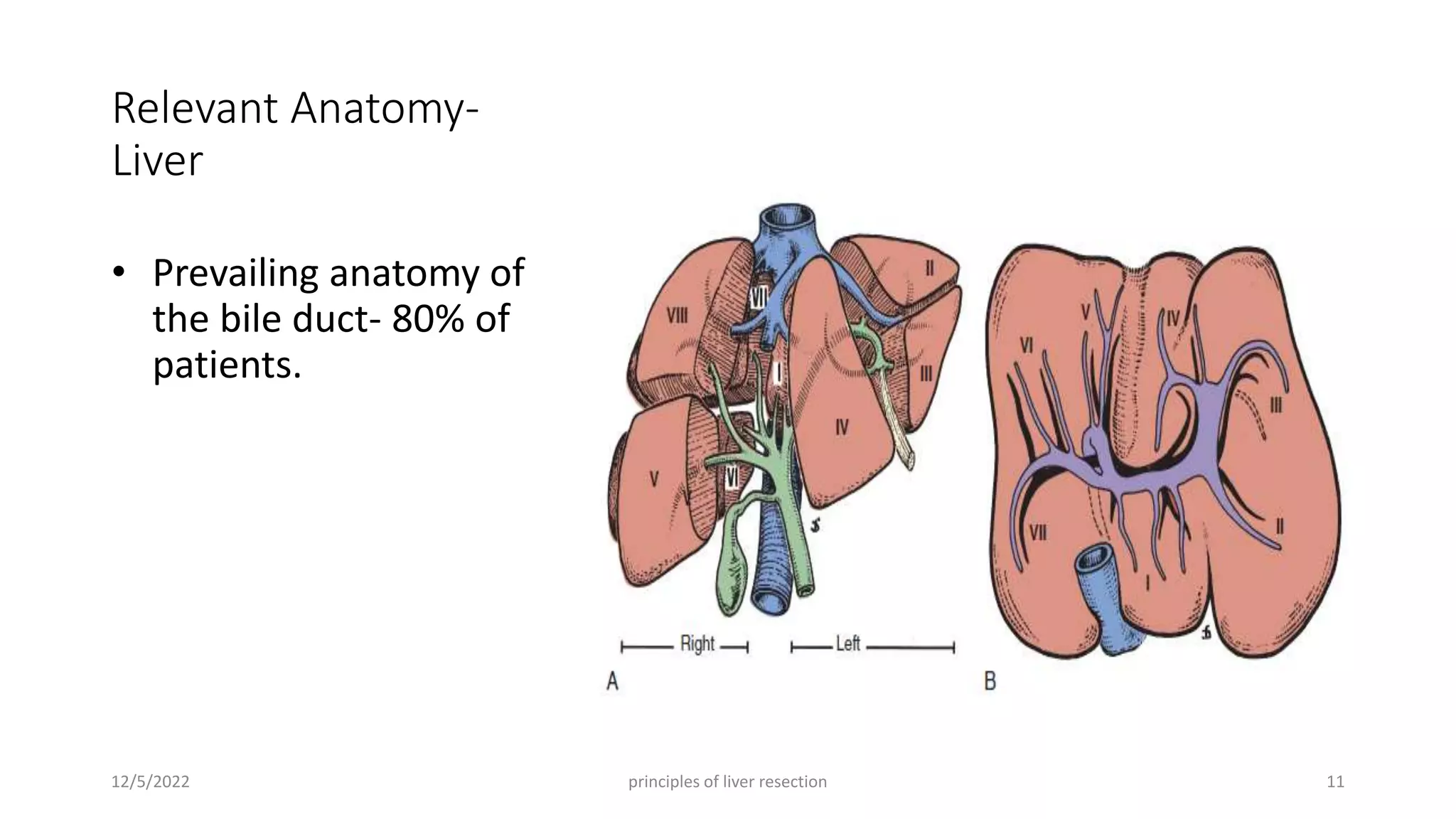 Surgical anatomy of Liver, Pancreas, Biliary tree and Principle of ...